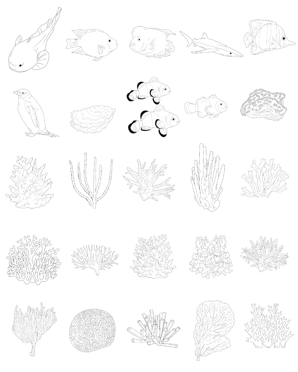 Water Life Coloring Pack OTO3 – V2 – Amember | Coloring Galaxy