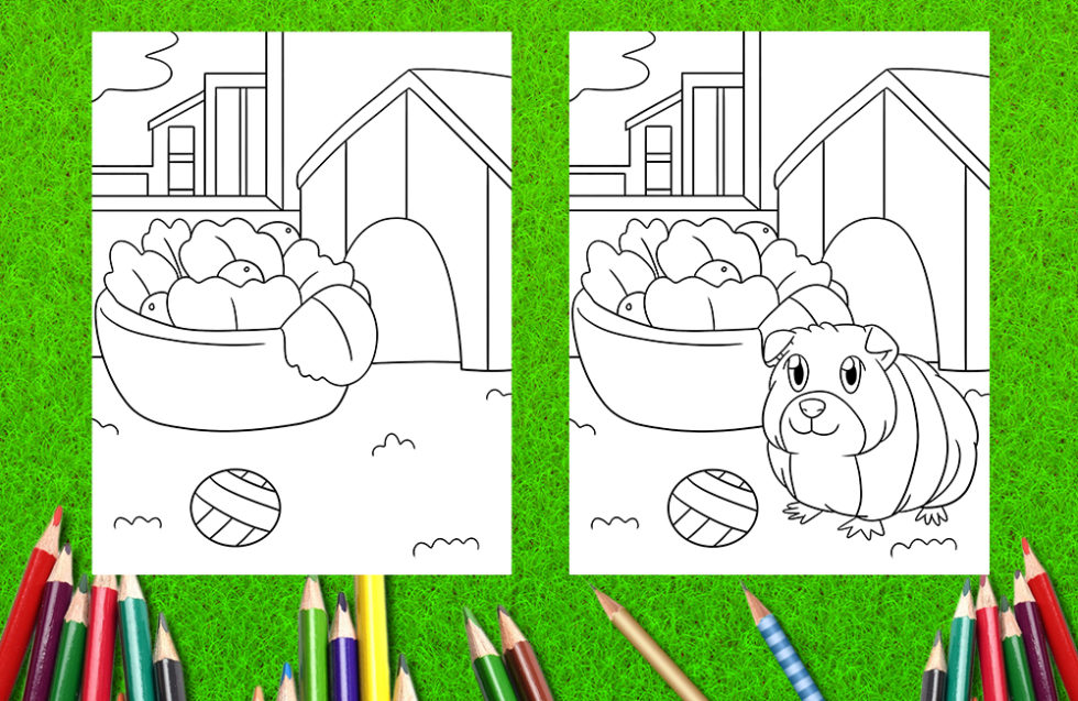 City Animals OTO1 - V2 - Amember | Coloring Galaxy