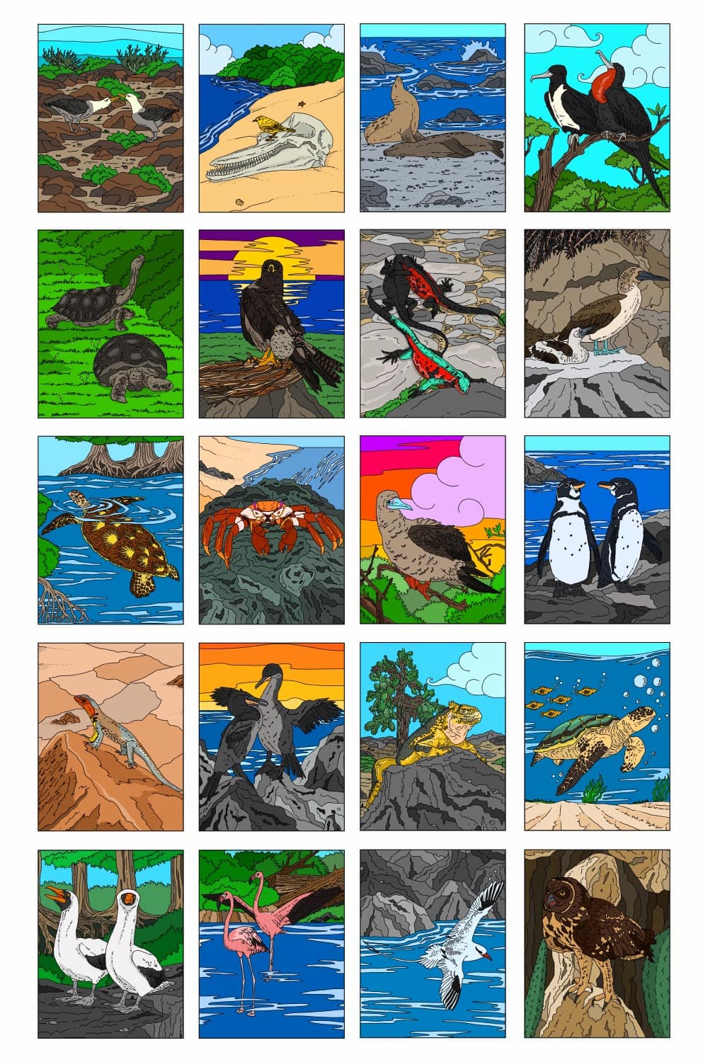 Galapagos OTO1 V2 | Coloring Galaxy